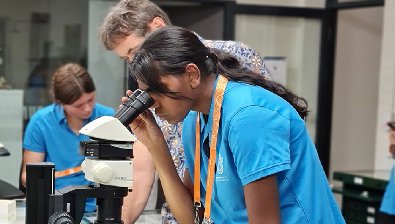 Statement on the Pathway to Diversity in STEM Review | Department of ...